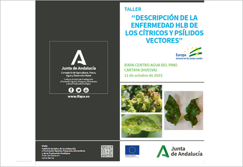 Taller "DESCRIPCIÓN DE LA ENFERMEDAD HLB DE LOS CÍTRICOS Y PSÍLIDOS ...