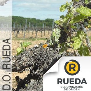 Bodegas Leopoldo | Distribuciones Bodegas Leopoldo